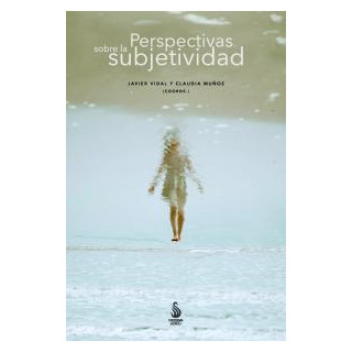 Perspectivas sobre la subjetividad